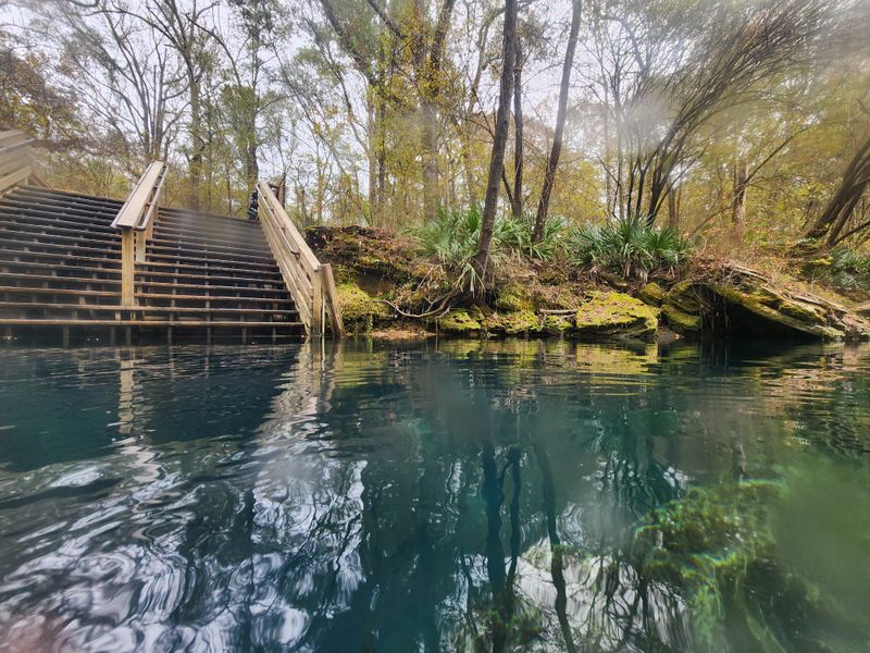 Florida’s Most Intense Hiking Trail Isn’t for the Claustrophobic