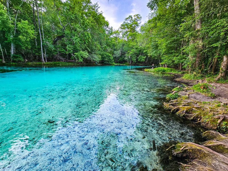 These Lesser-Known Florida Springs Are Way Too Beautiful to Keep Secret