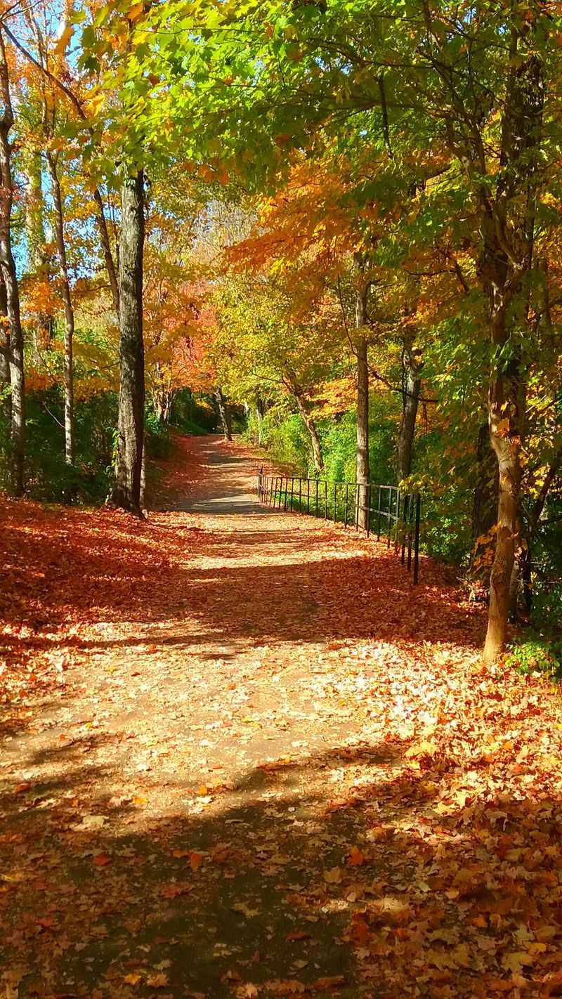 11 Tennessee Trails That Are Perfect for a Winter Walk
