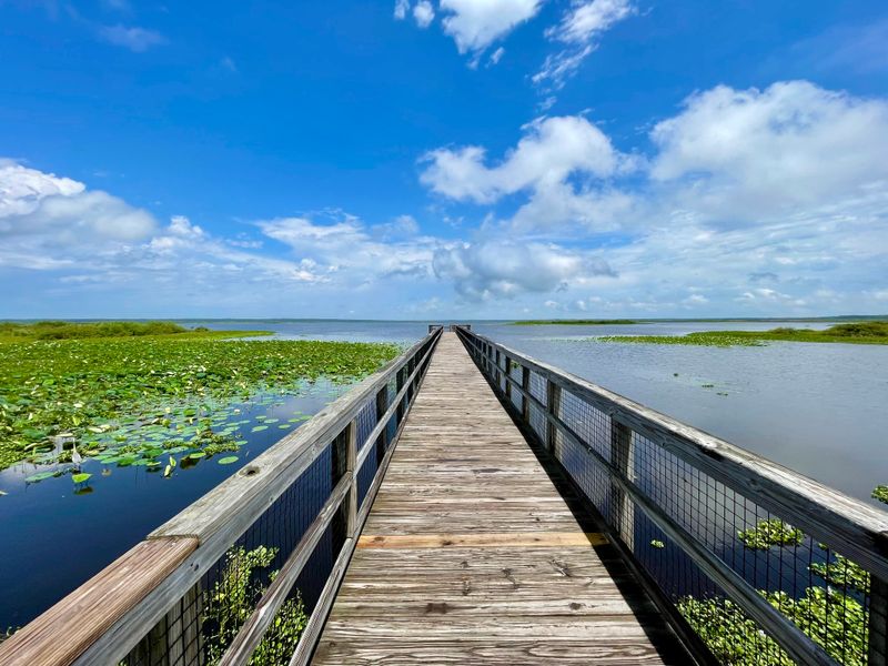 Florida Has More Biodiversity Than Almost Any Other State—Here’s Where ...