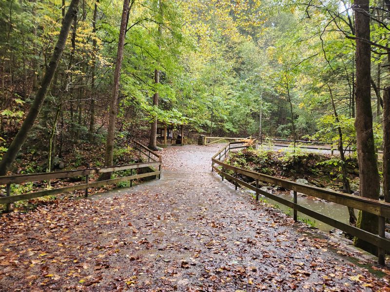 9 Tennessee State Parks With the Best Mountain Views