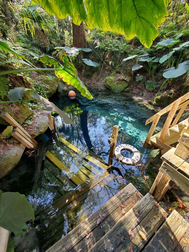 This Secret Spring Near Ocala Looks Like A Real-Life Blue Grotto