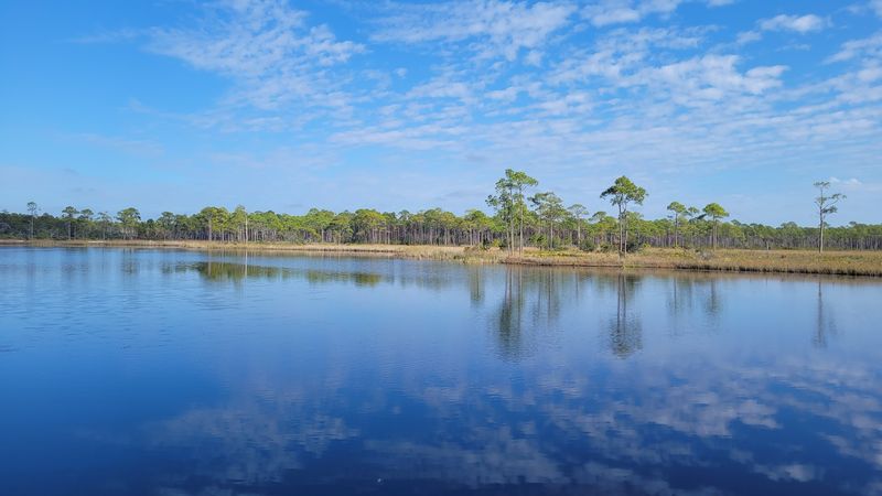This Scenic Florida Bike Trail Combines Coastal Beauty With Hidden ...