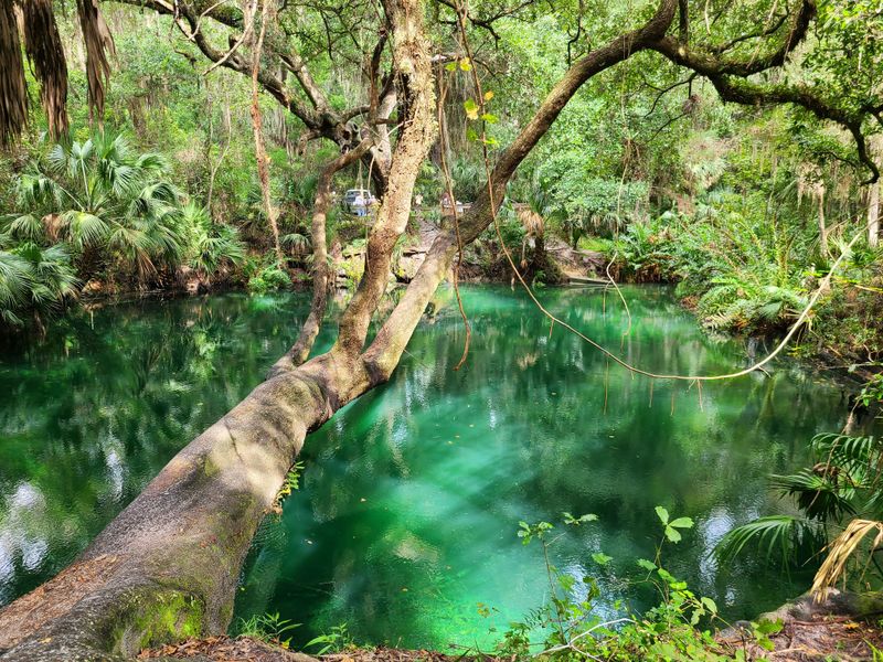 10 Fairytale Places in Florida You’ll Swear Aren’t Real